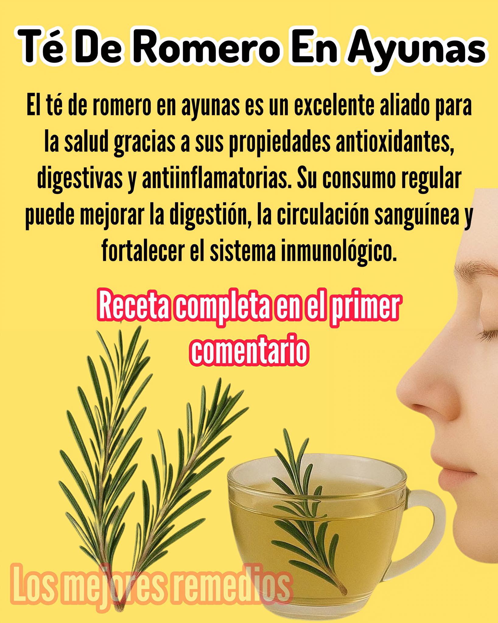 "Té de romero en ayunas: 20 beneficios y cómo prepararlo" - Wowug