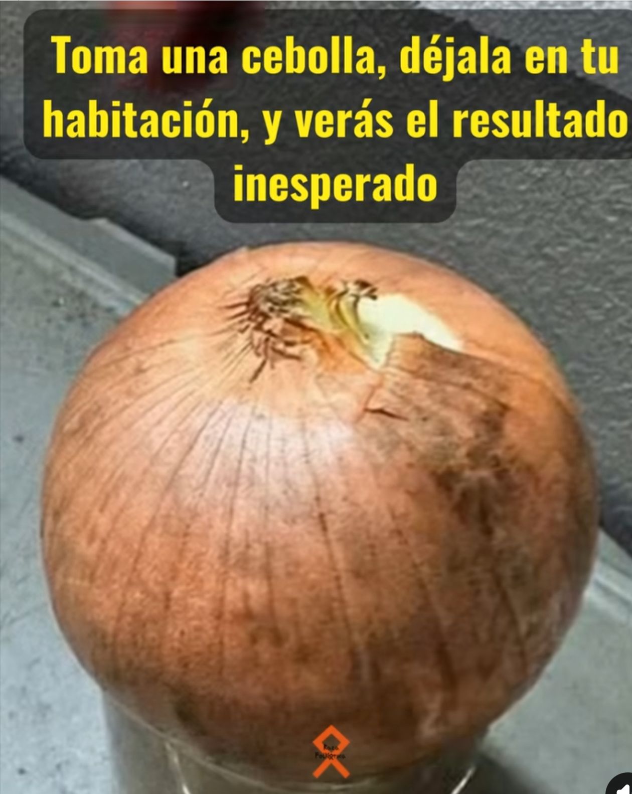 EL PODER DE LA CEBOLLA EN TU HABITACIÓN: BENEFICIOS, RECETAS Y USOS - Wowug