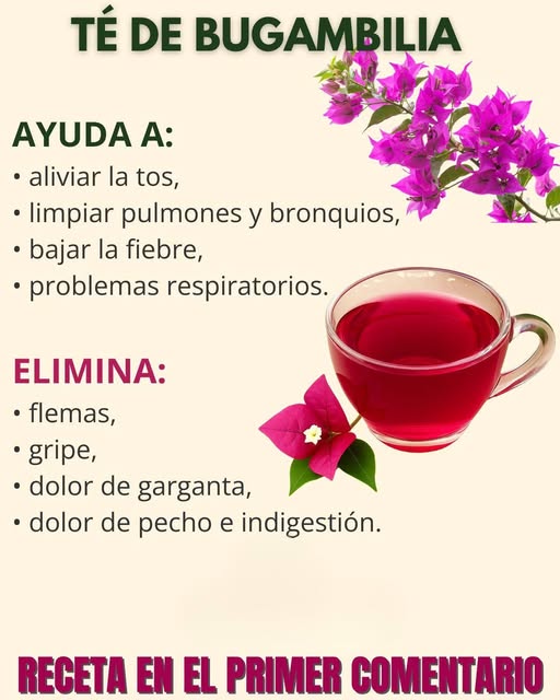 TÉ DE BUGAMBILIA: UNA INFUSIÓN NATURAL PARA RESPIRAR MEJOR Y ALIVIAR EL ...