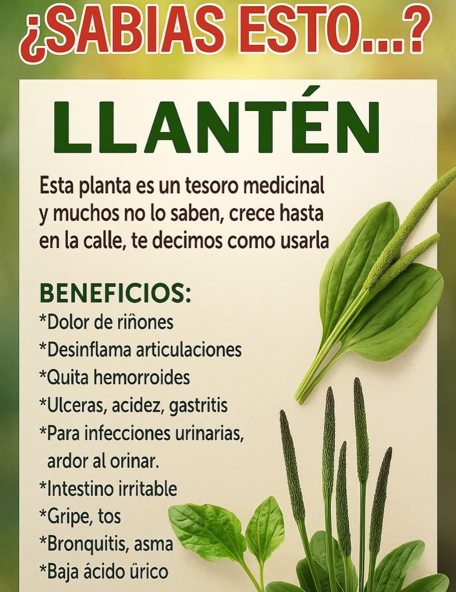 Es una paradoja de la naturaleza que una de las plantas más comunes, a ...