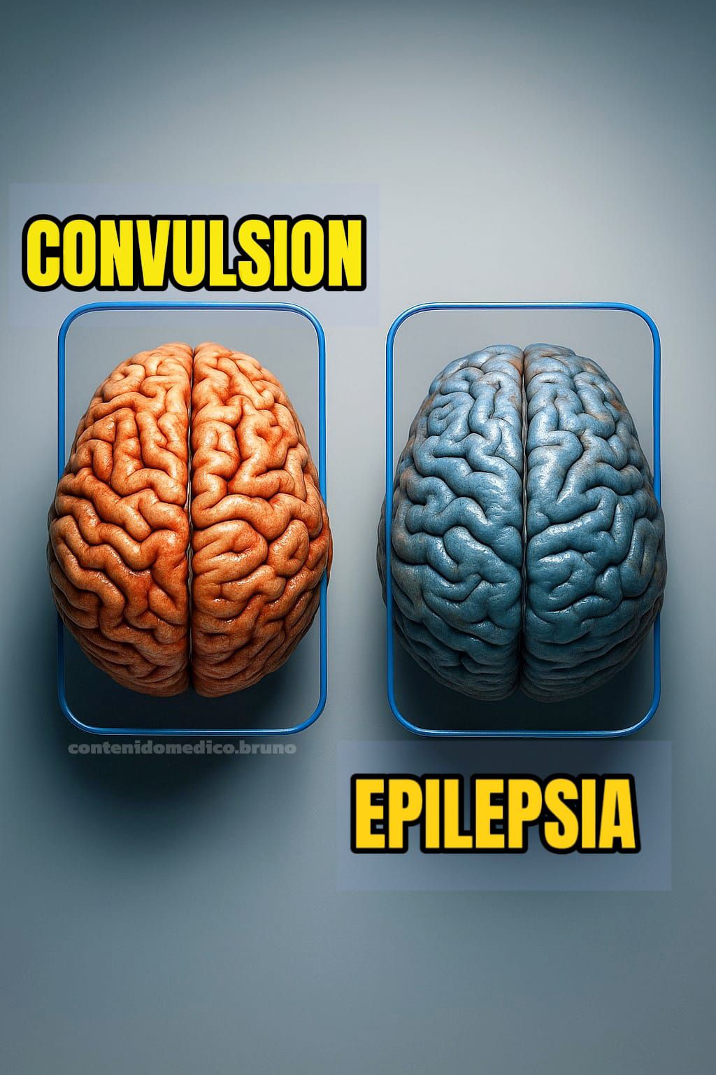 ⚡ ¿CONVULSIÓN o EPILEPSIA? Entendé la diferencia ⚡ - Wowug